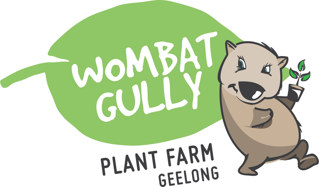 Trees – Wombat Gully Plant Farm Geelong